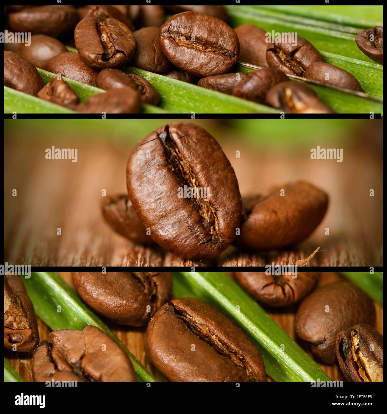 set or collection grains coffee Stock Photo - Alamy