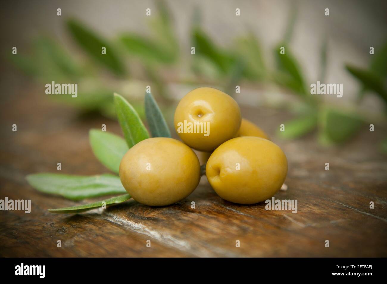 Olive kind hi-res stock photography and images - Alamy