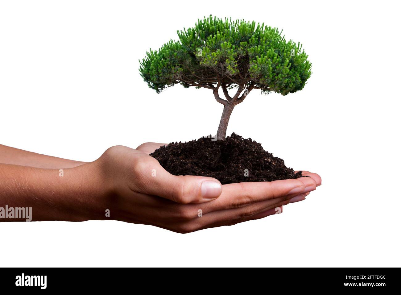 Balance ecology Cut Out Stock Images & Pictures - Alamy