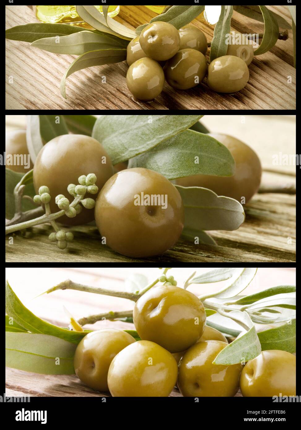 set of olives, oil crop Stock Photo - Alamy