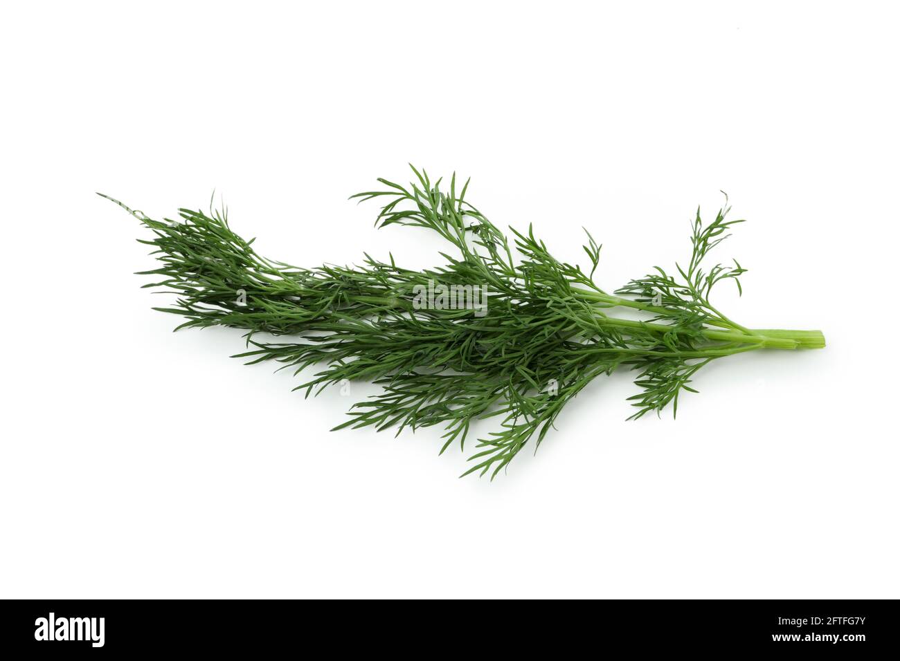 Fresh green dill isolated on white background Stock Photo - Alamy