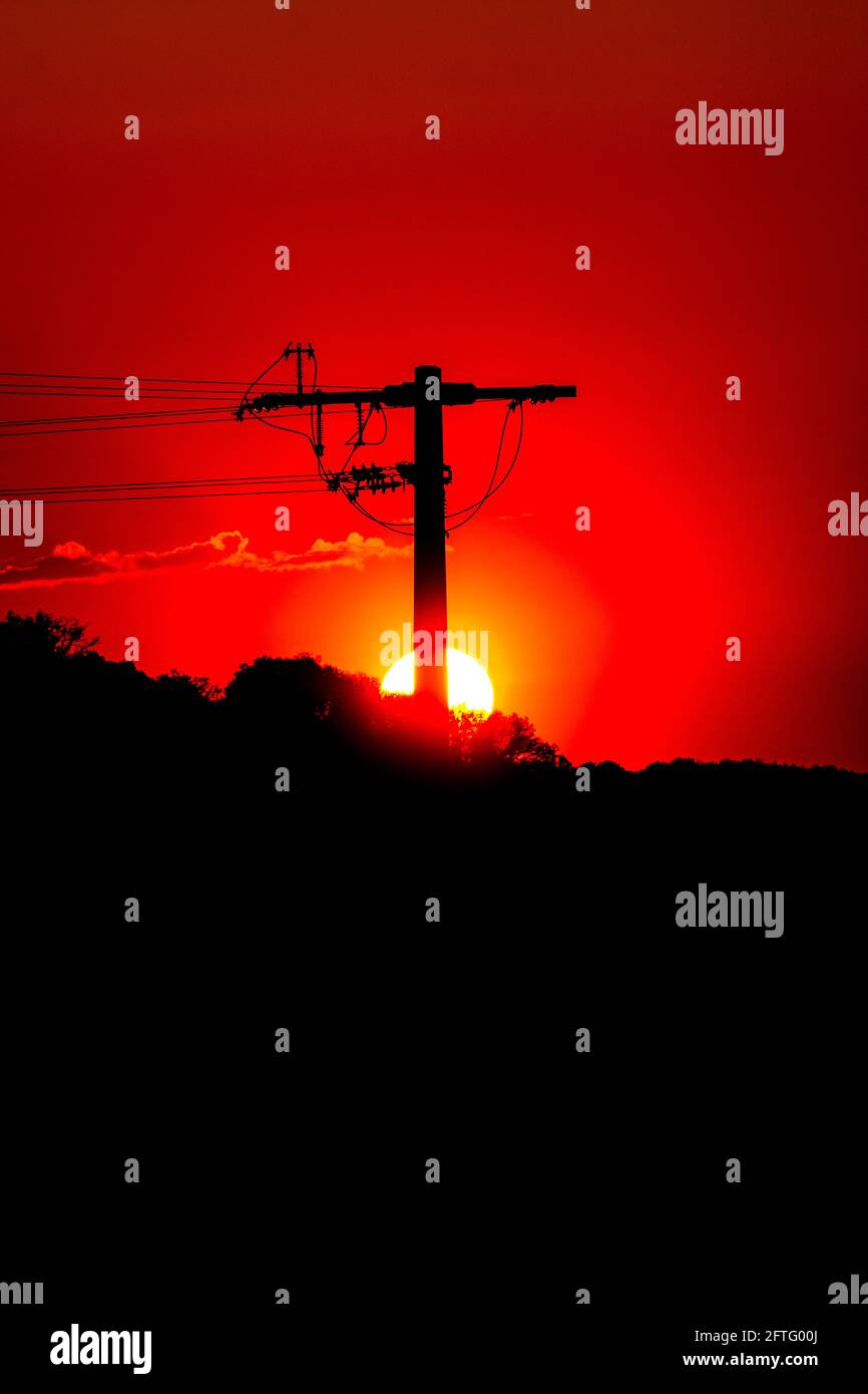 Sunset and silhouetted electricity poles - central France Stock Photo ...