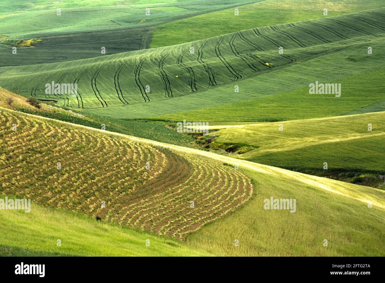 Farming morocco agriculture field hi-res stock photography and images ...