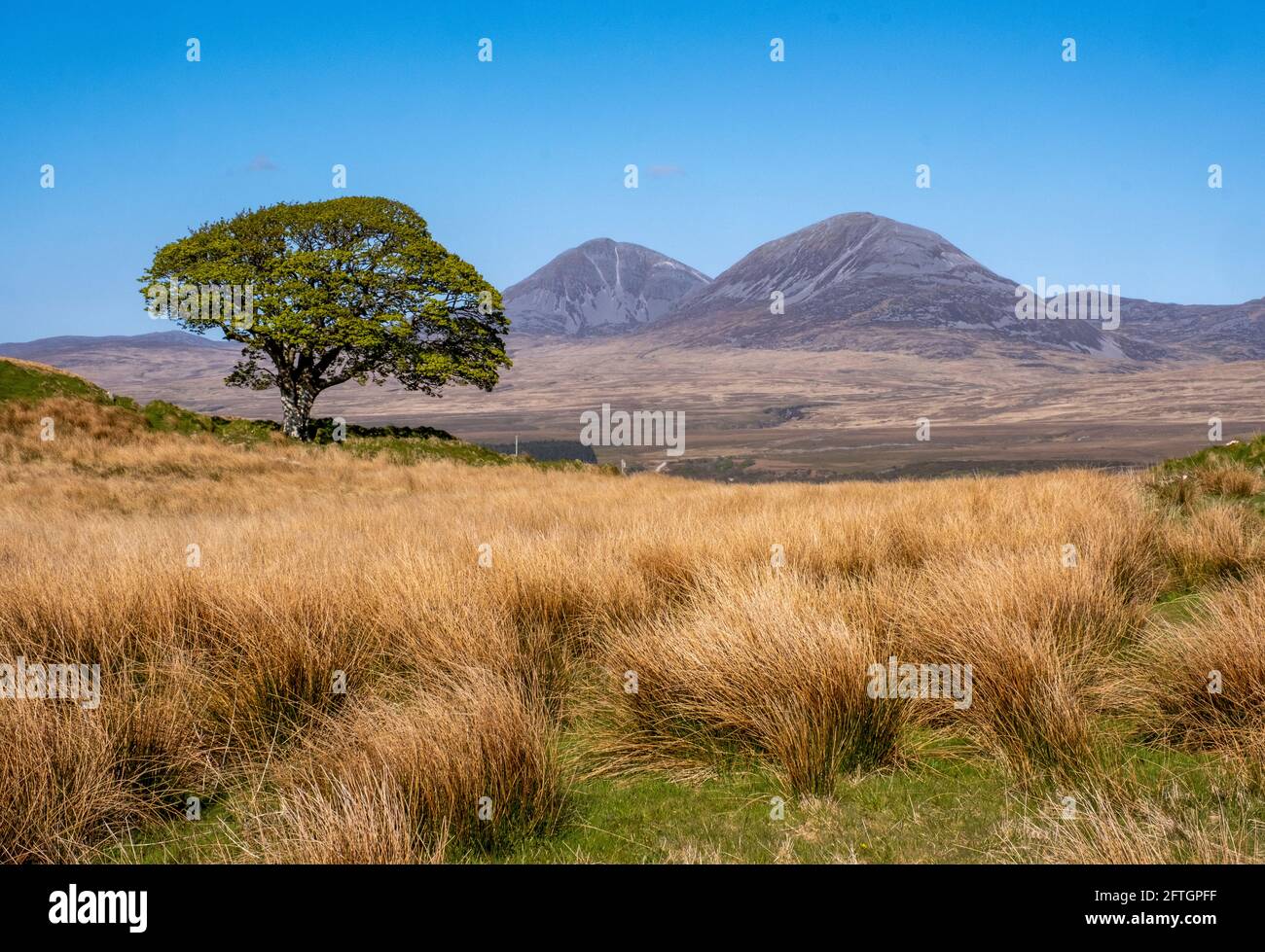 A view from Islay of the Paps of Jura mountains on the Isle of Jura ...