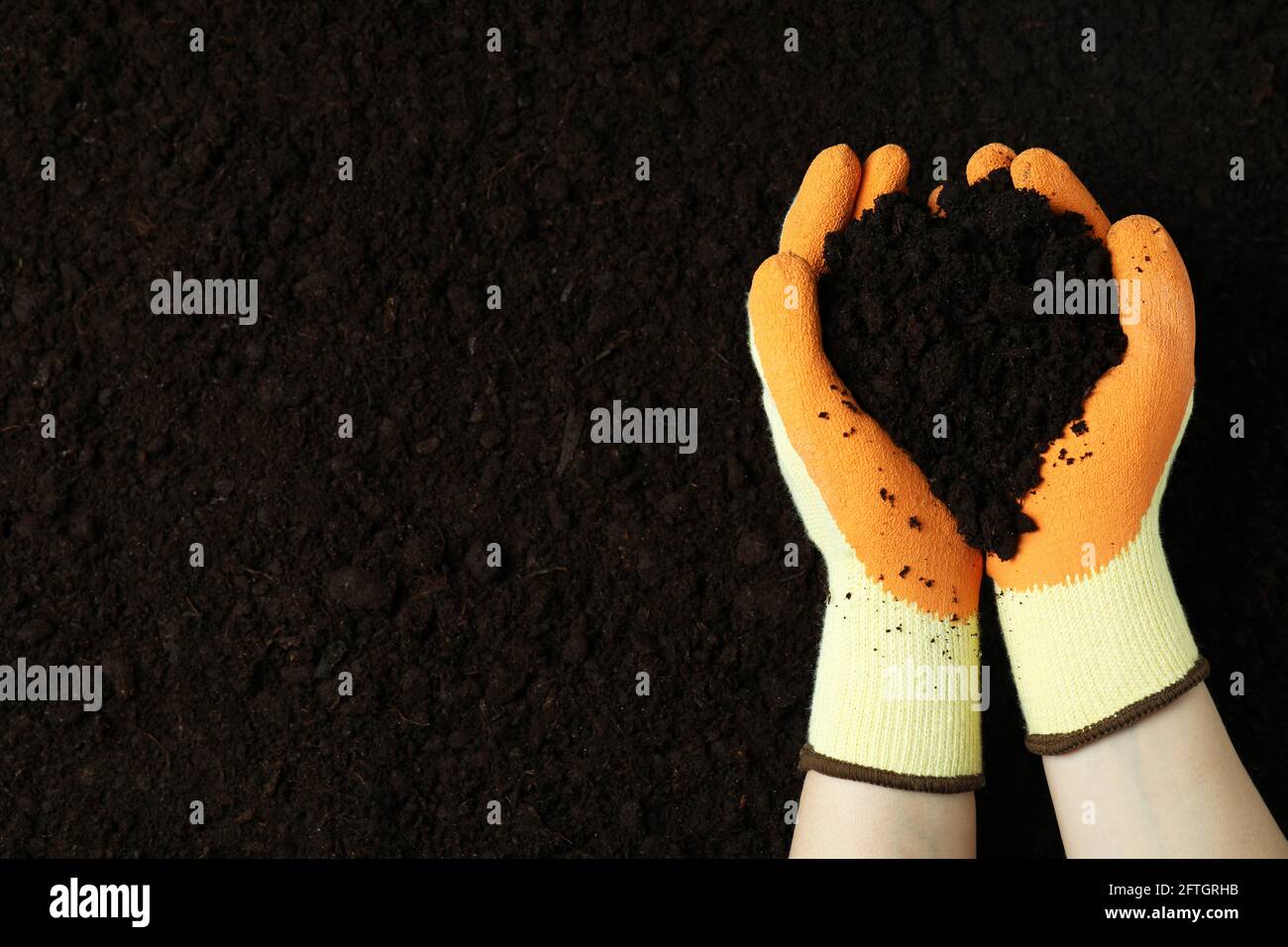 Hands in gloves hold soil on soil background Stock Photo - Alamy