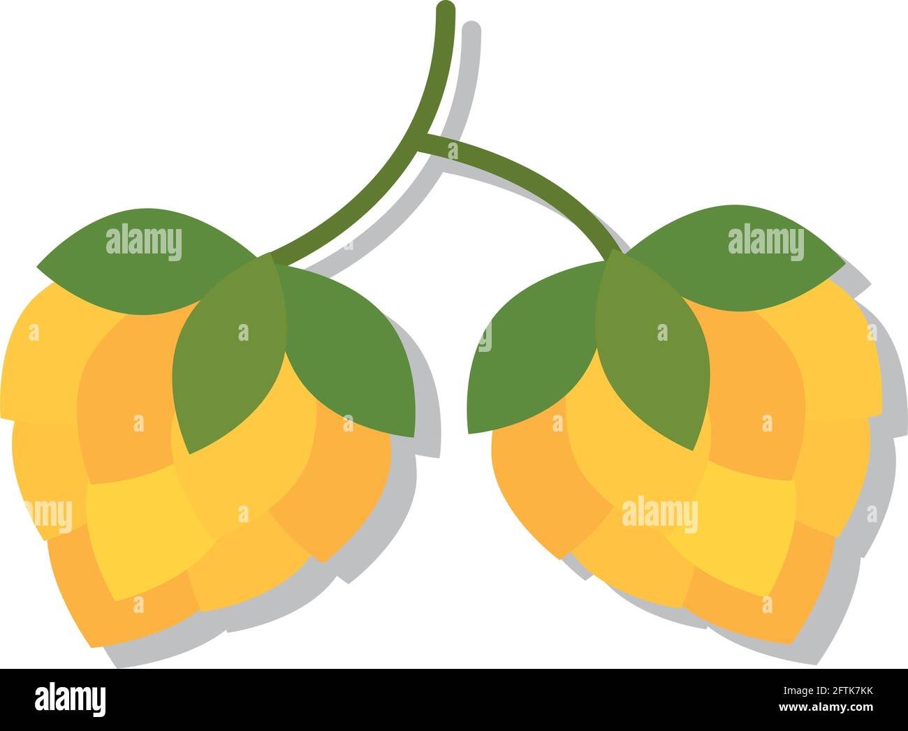 Isolated pair of barley leaves icon Vector illustration Stock Vector ...