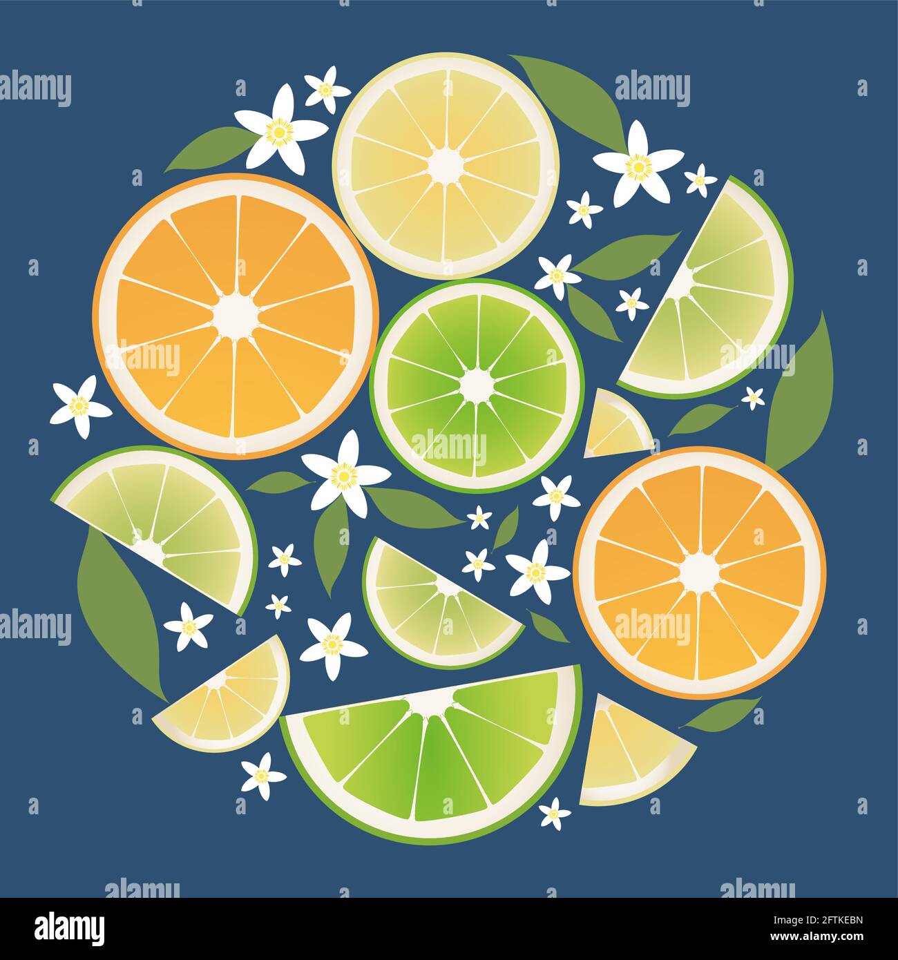 Citrus collection. Slices of orange, lemon, lime and orange leaves and ...
