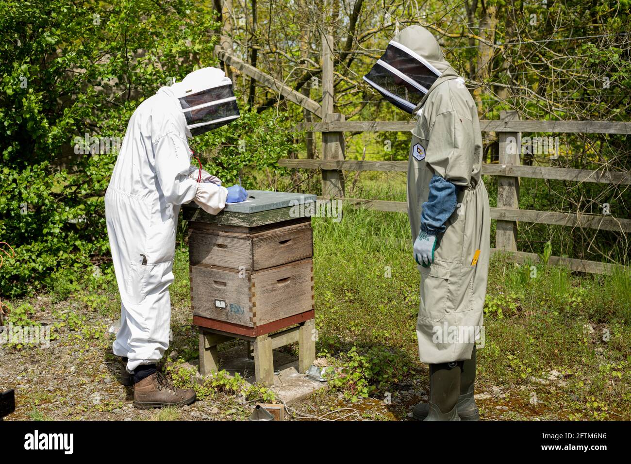 Creating a nuc hi-res stock photography and images - Alamy