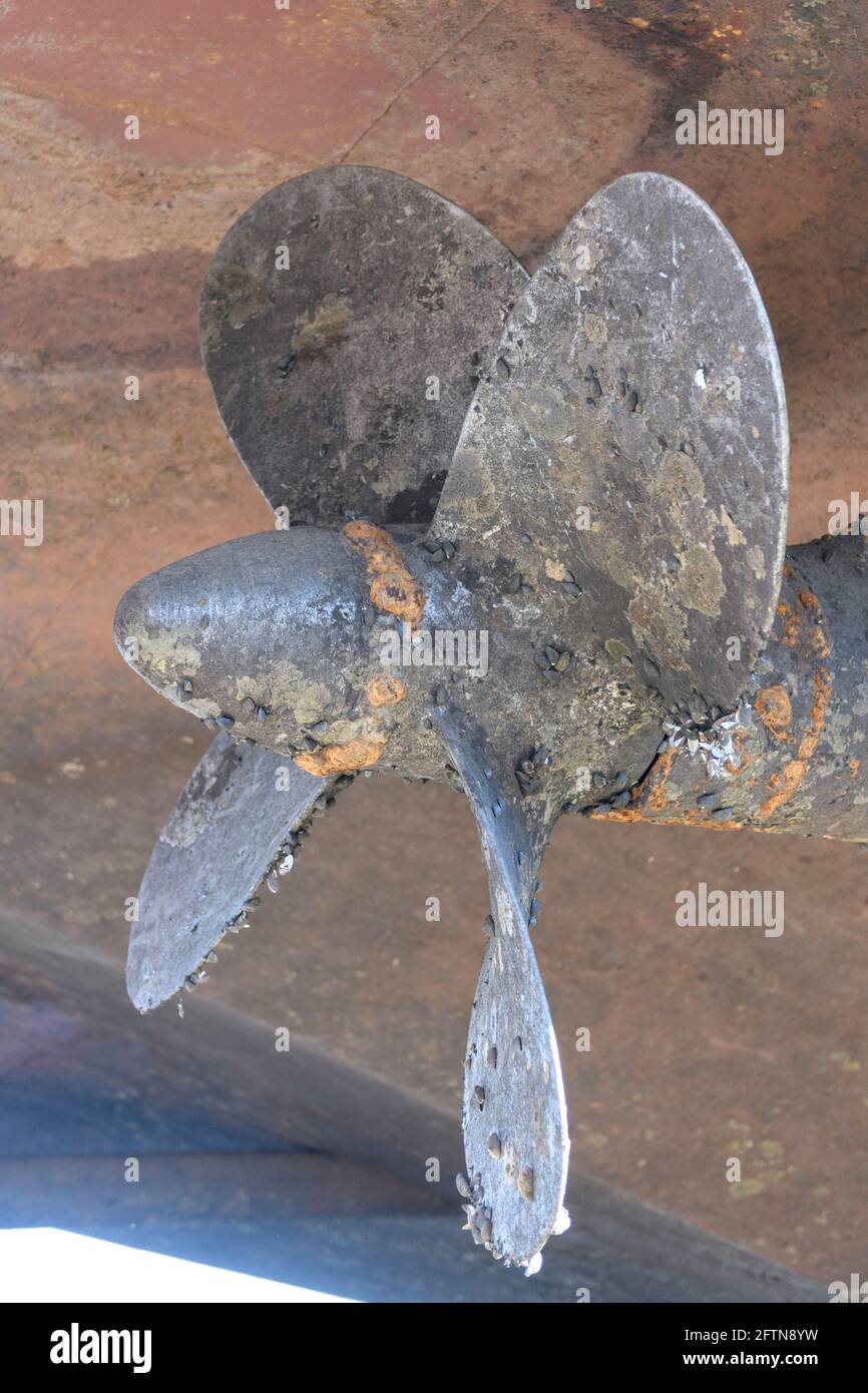 Fixed blade propeller and rudder with shells. Cargo vessel ashore on ...