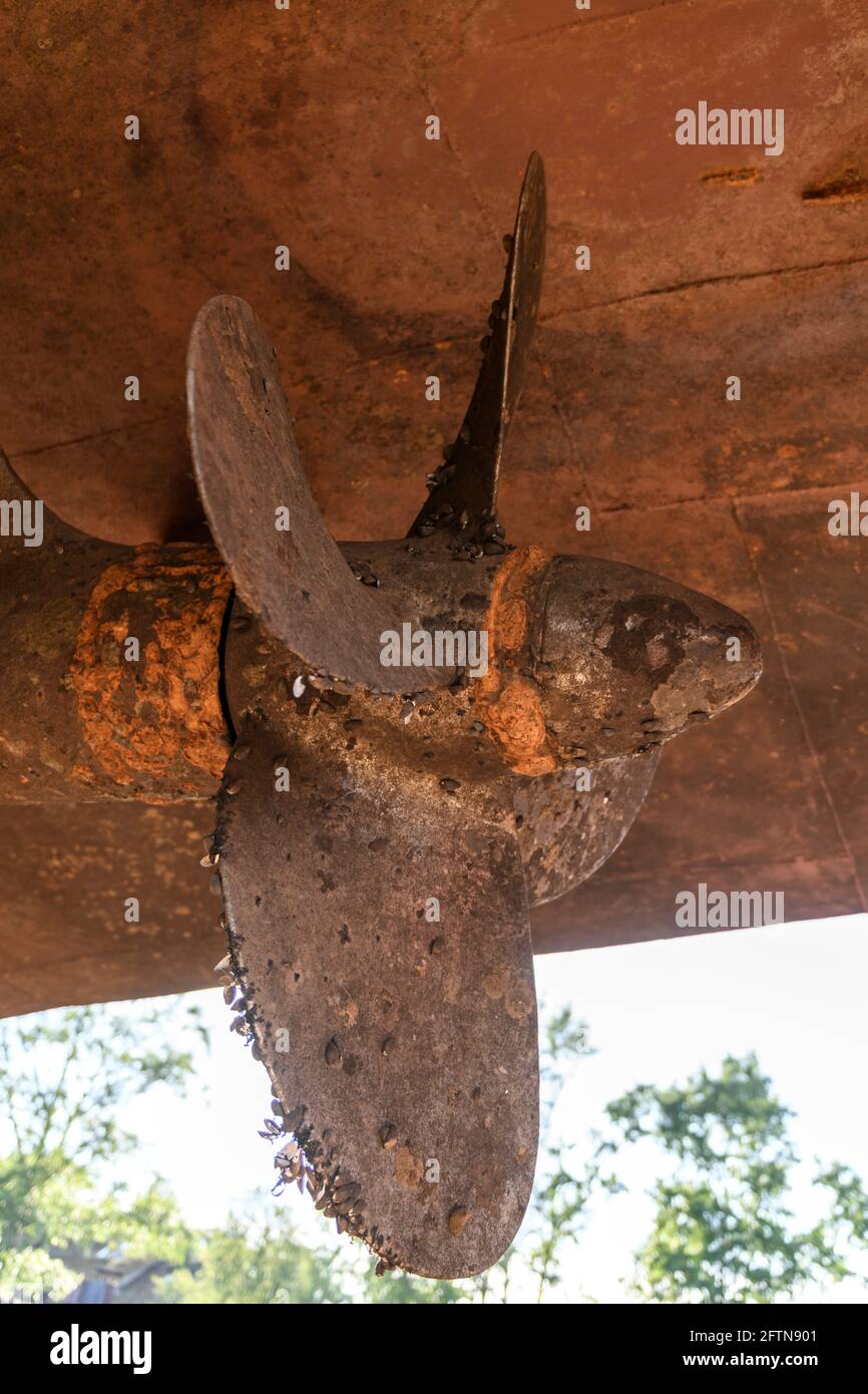 Fixed blade propeller and rudder with shells. Cargo vessel ashore on ...