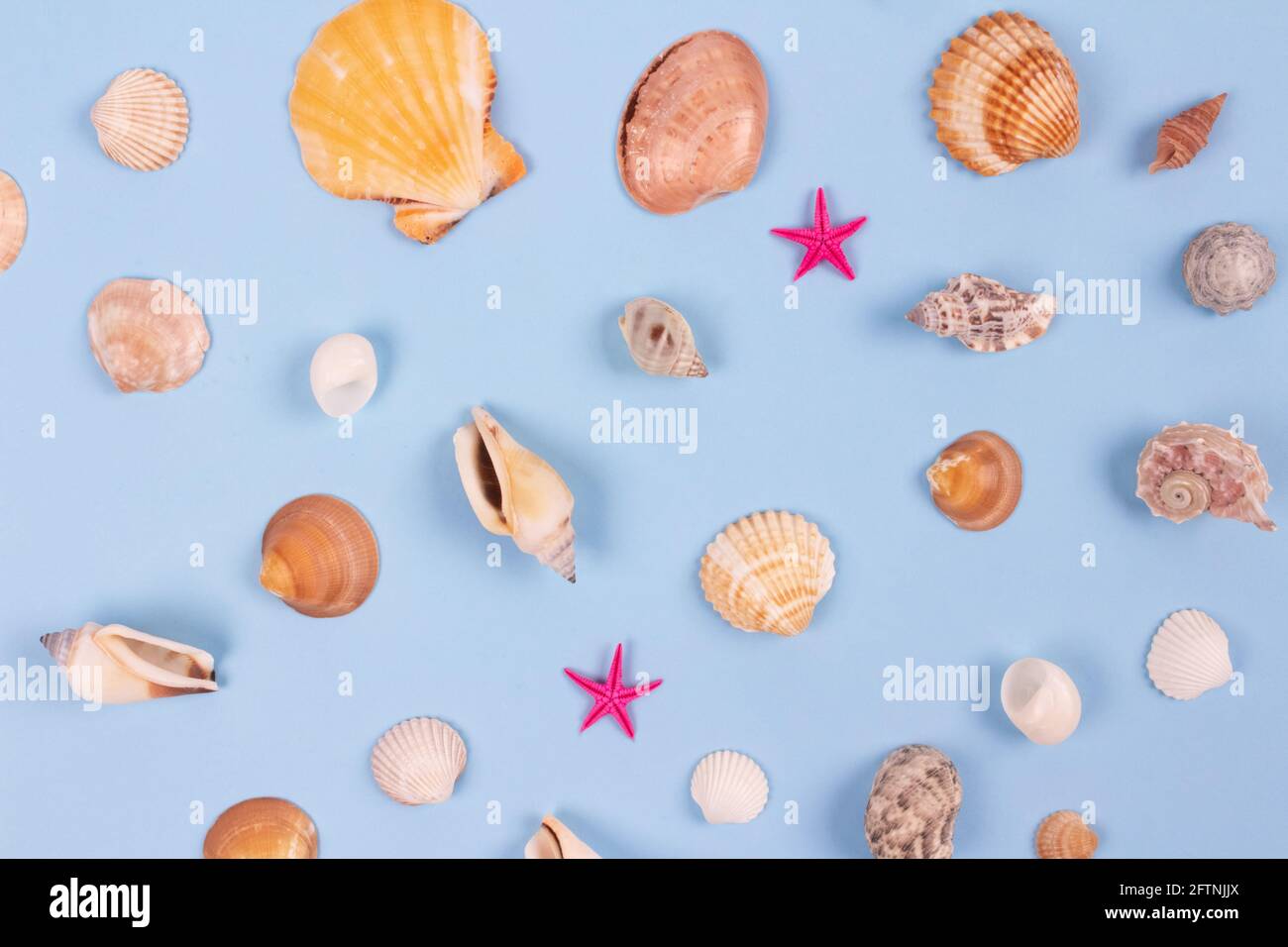 Mix of sea shells on blue background. Summer time vacations concept ...