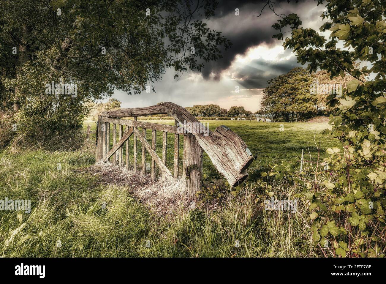 Old wooden field gate hi-res stock photography and images - Alamy
