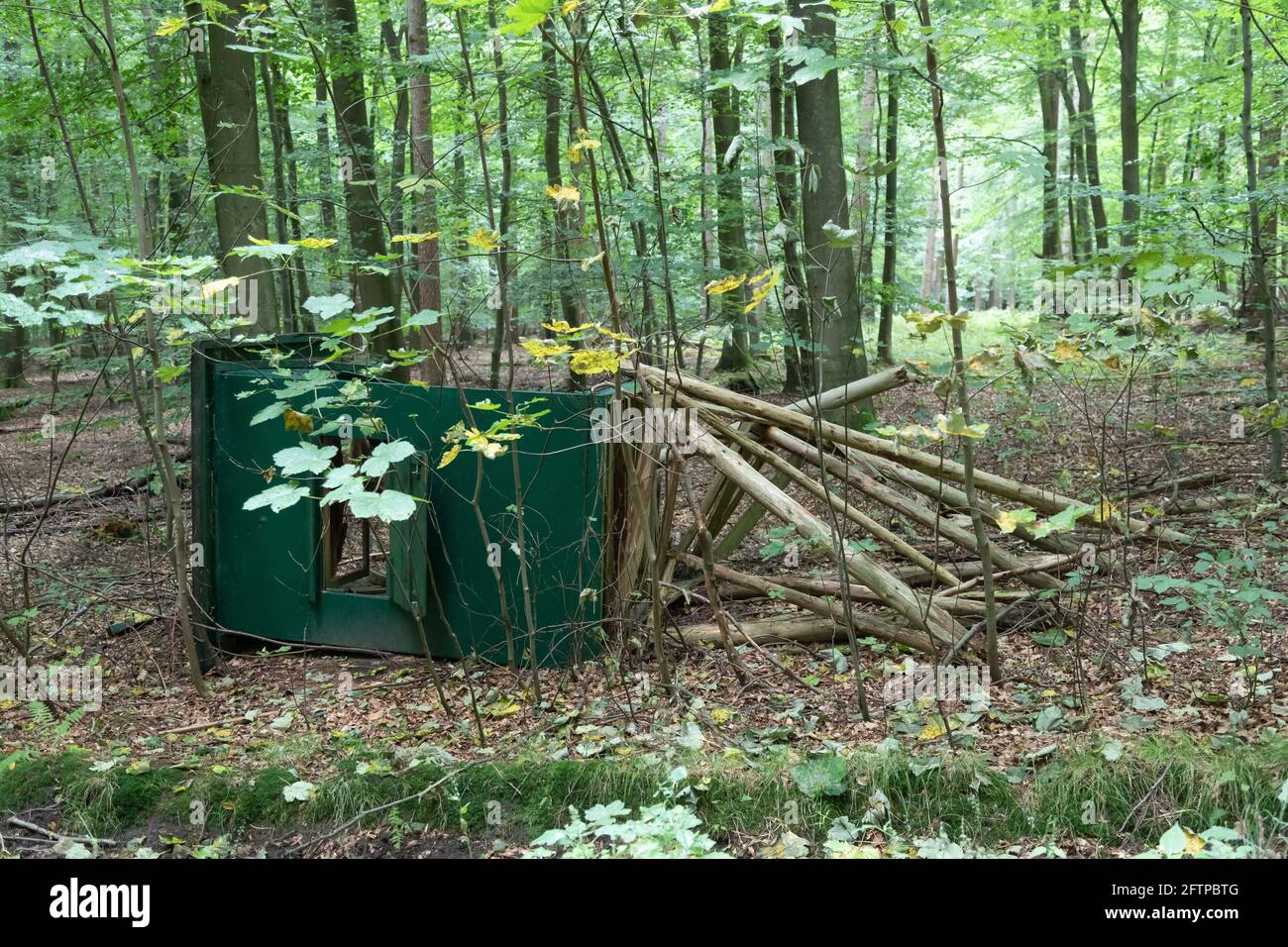 Destroyed forest hi-res stock photography and images - Alamy