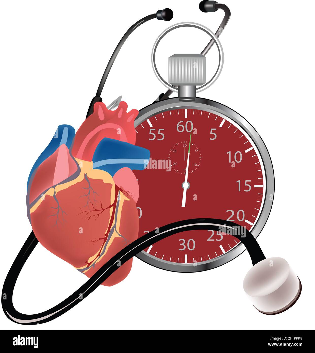 Illustration of a red stopwatch, a human heart and a stethoscope on a ...