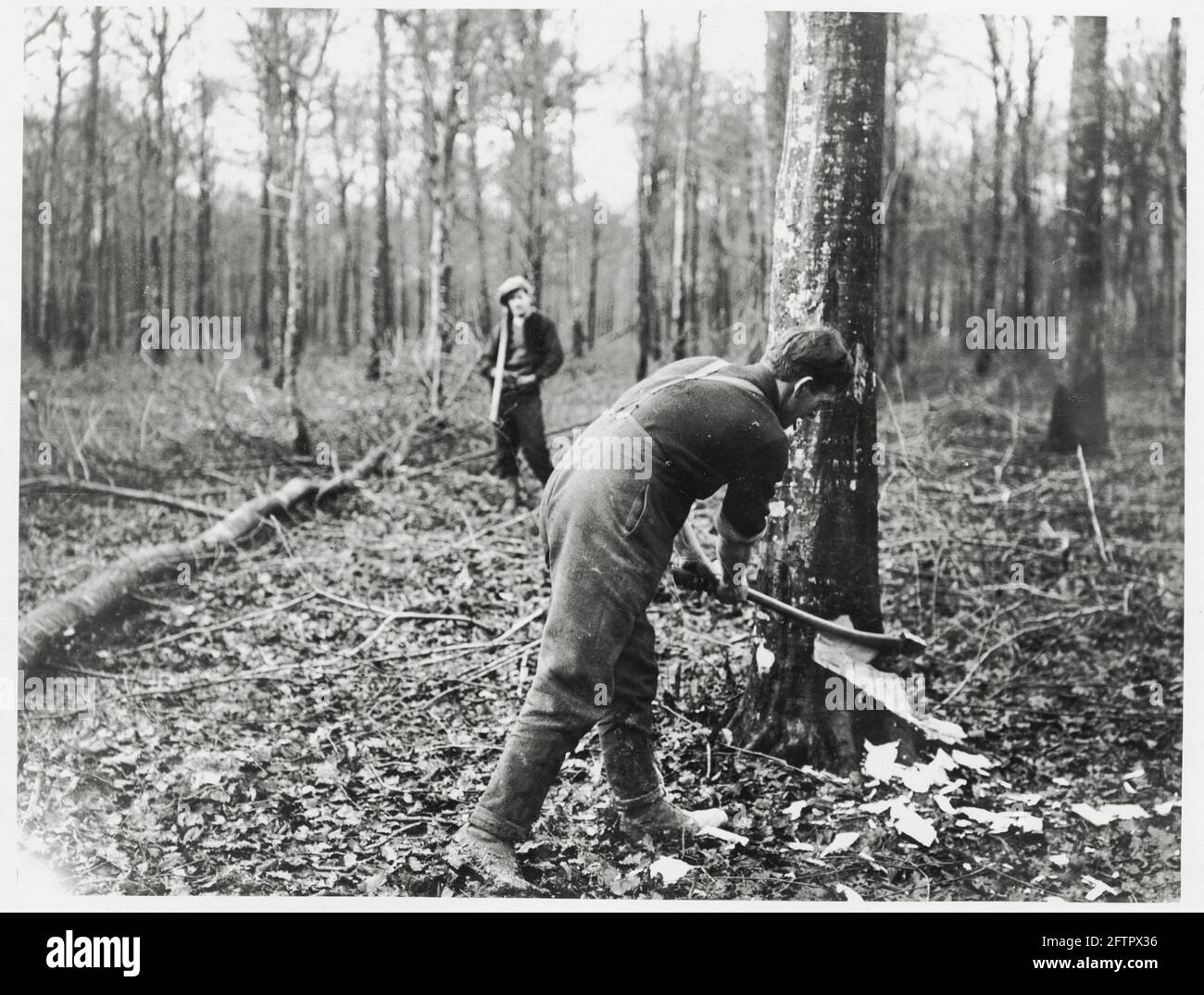 British western front trench 1914 hi-res stock photography and images ...