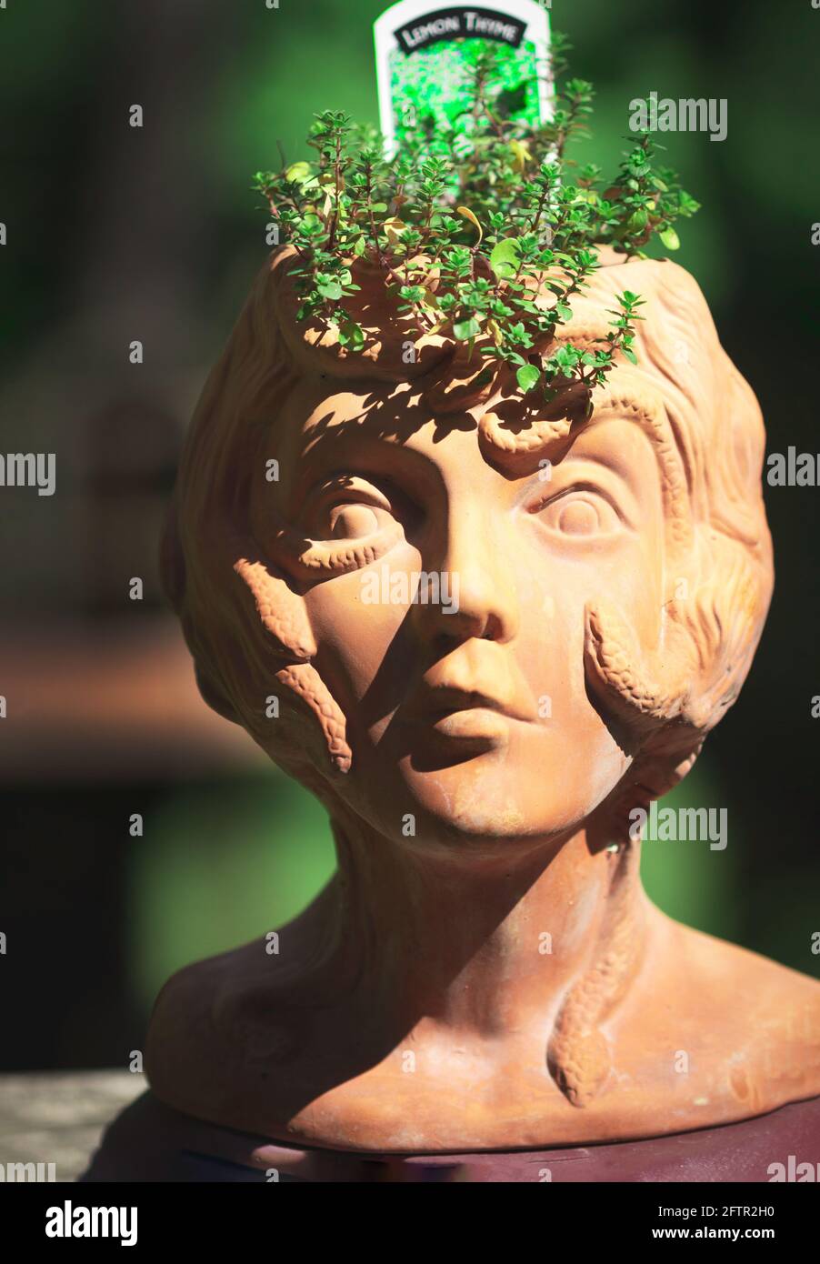 A plantar made of terra cotta, in the shape of Medusa from Greek ...