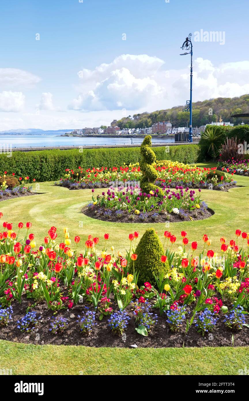 Flower display in park in Rothesay on Isle of Bute Stock Photo - Alamy