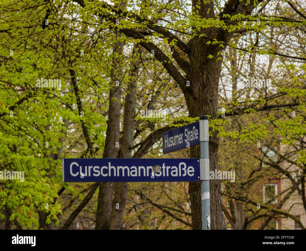 Tree crossroads hi-res stock photography and images - Alamy