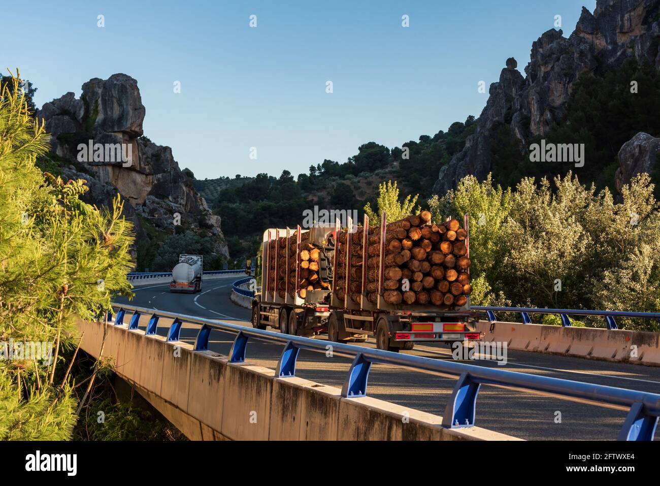 Truck with trailer loaded with logs driving through a gorge Stock Photo ...