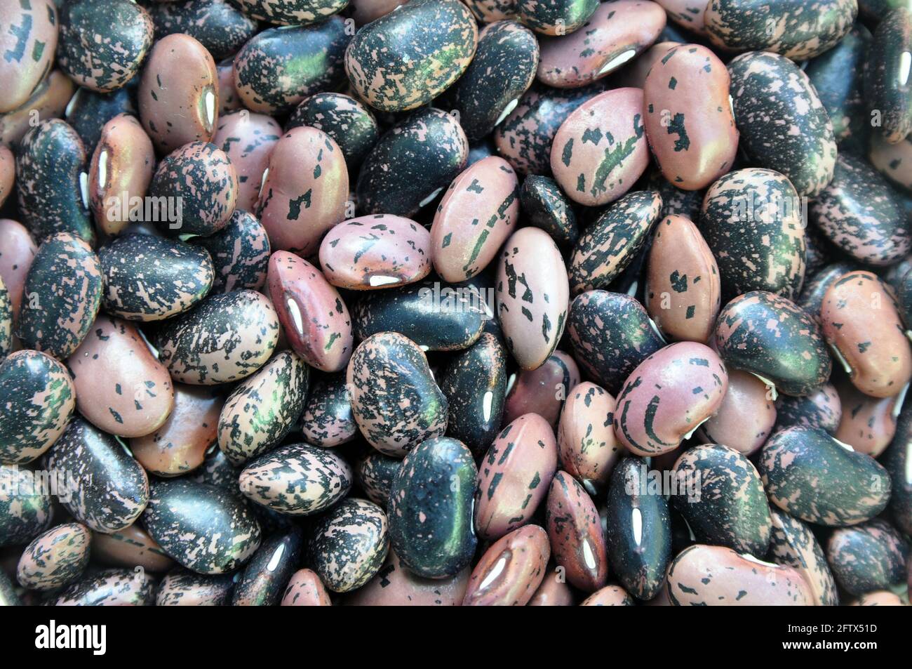 Texture of dry beans seeds. Pinto beans. Background Stock Photo - Alamy