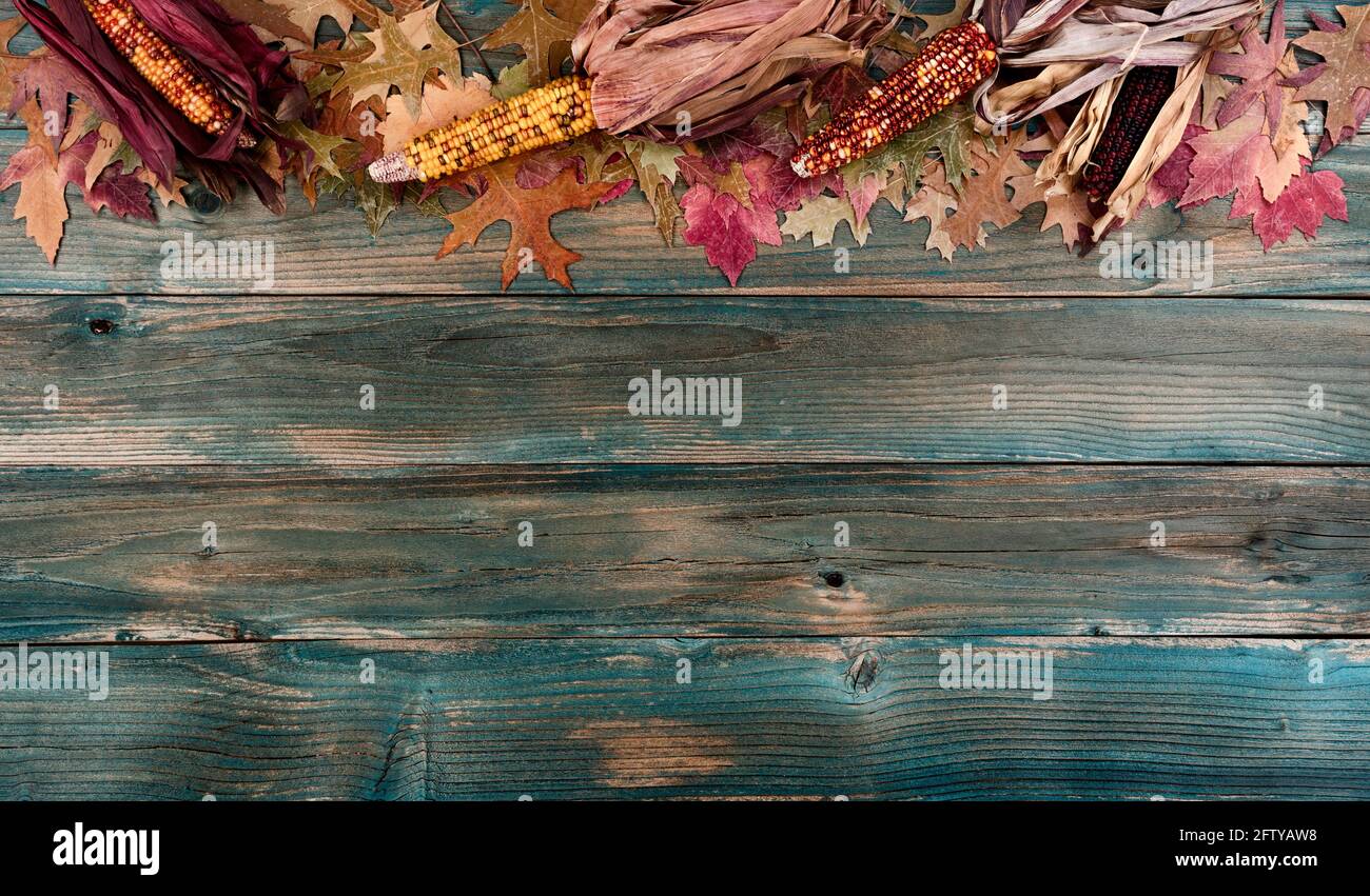Top border of fading autumn leaves and corn on rustic blue wooden ...