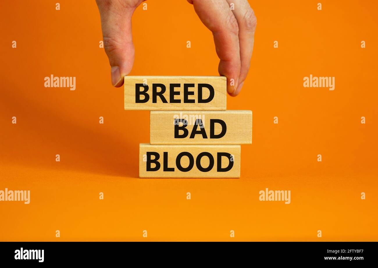 Breed bad blood symbol. Businessman holds wooden block with words ...