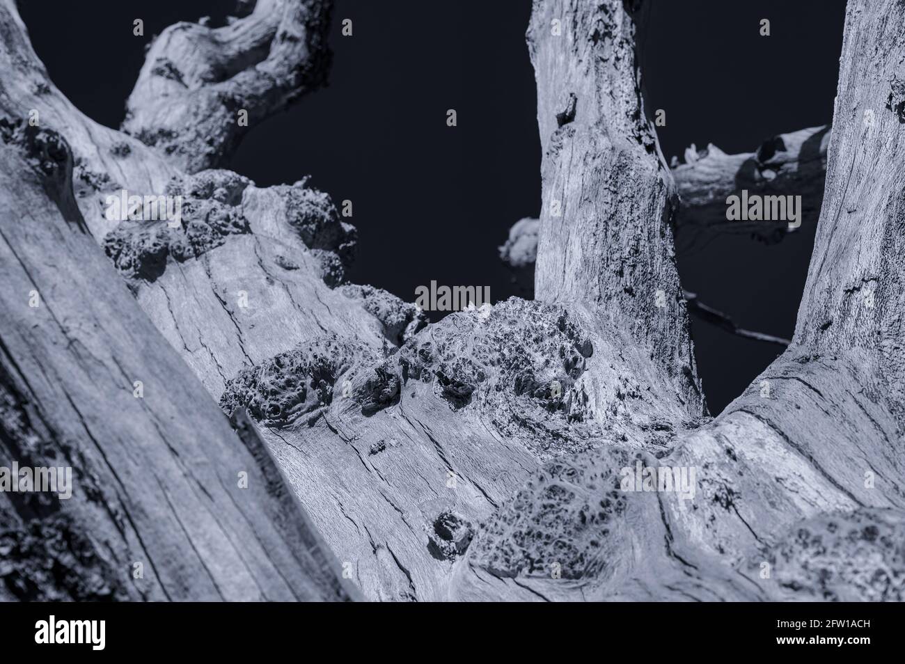 Marriott Country Park, Worsley, Manchester Stock Photo - Alamy