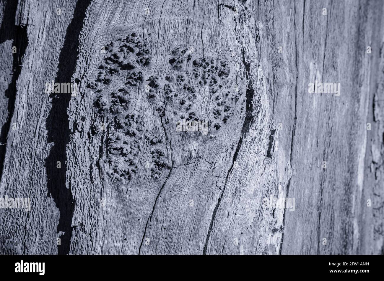 Marriott Country Park, Worsley, Manchester Stock Photo - Alamy