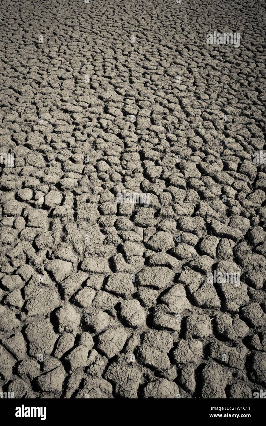 Broken desert land, drought meteorological phenomenon, Patagonia ...