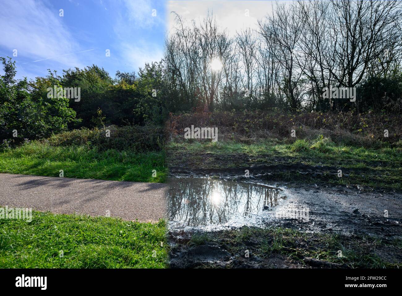 Boothstown Marina improvements, Worsley, Manchester Stock Photo - Alamy