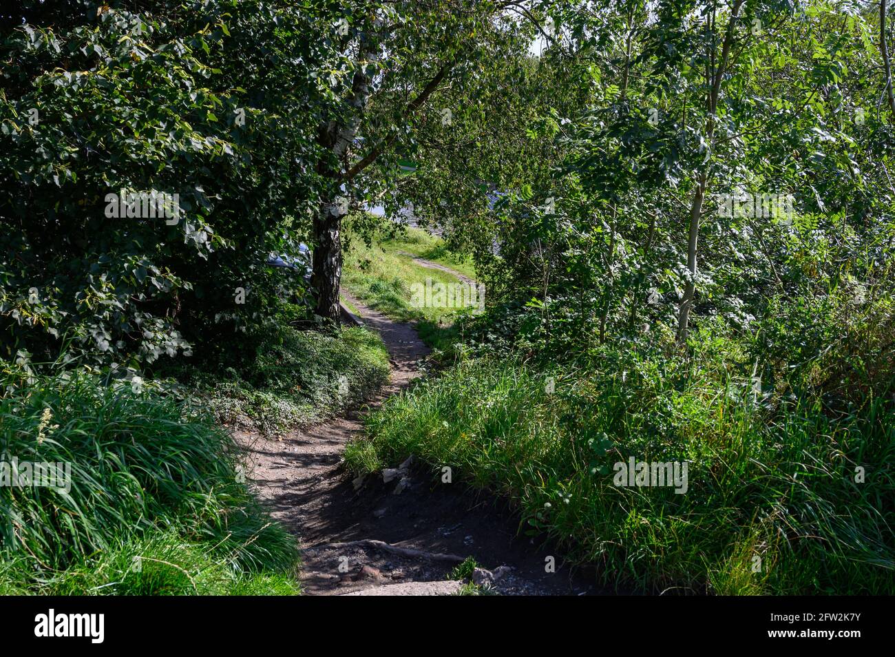 Boothstown Marina improvements, Worsley, Manchester Stock Photo - Alamy