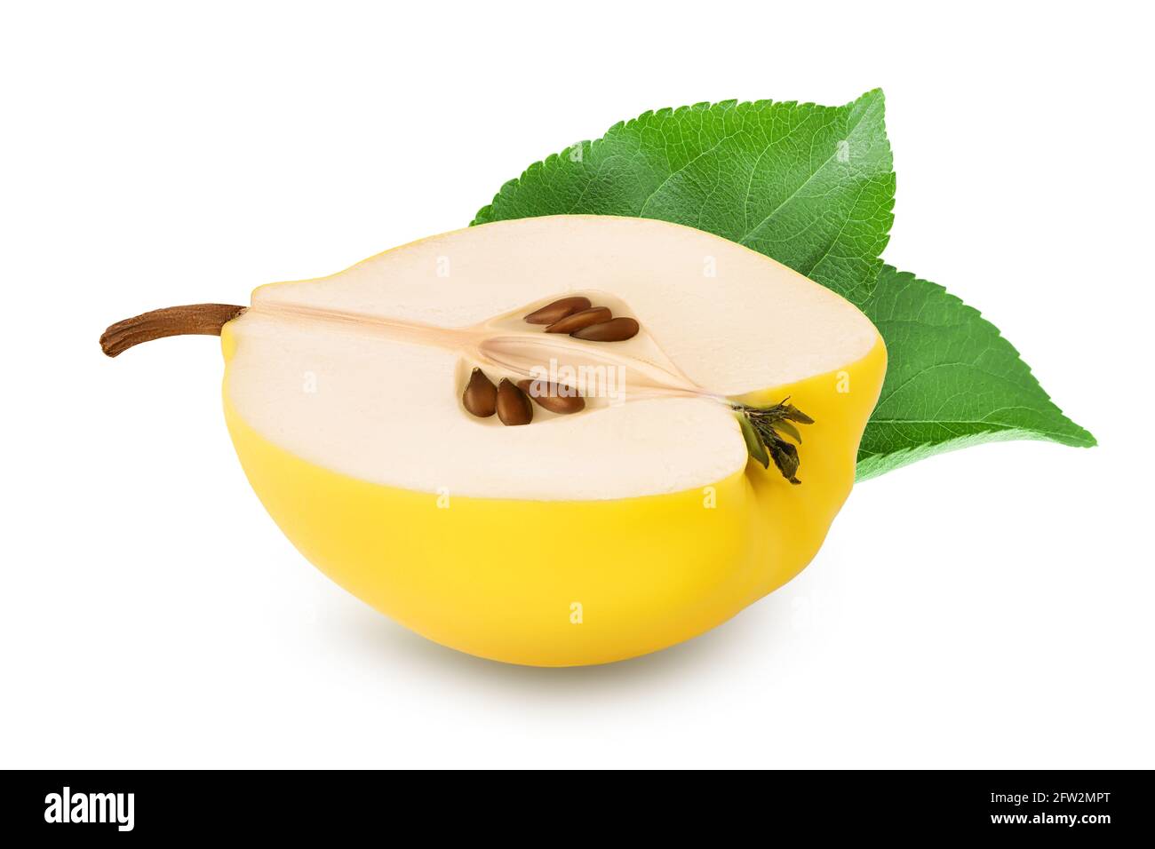 Fresh quince half isolated on the white background with clipping path ...