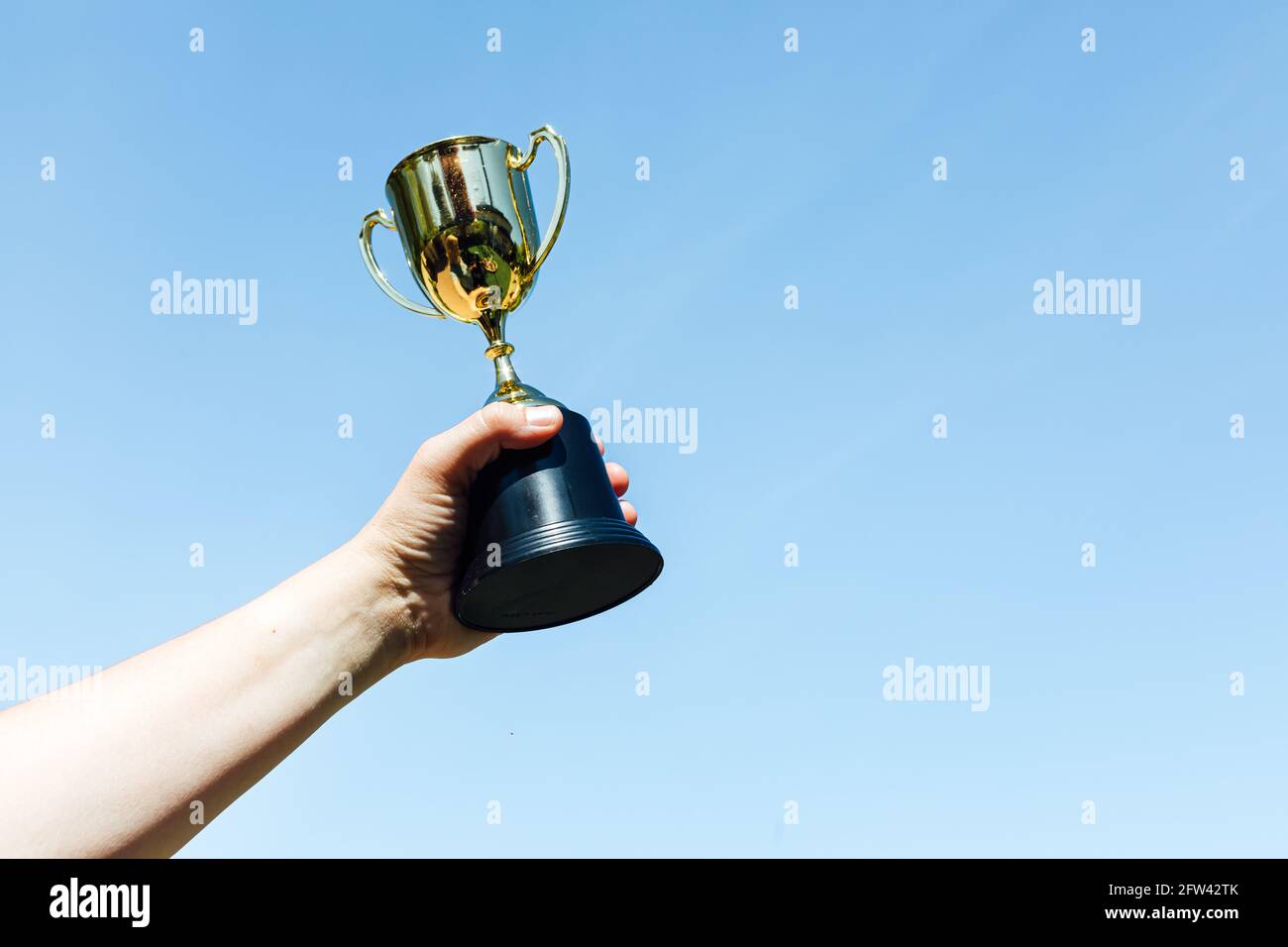 Hand raise a champion's glass, with the sky in the background. Victory ...