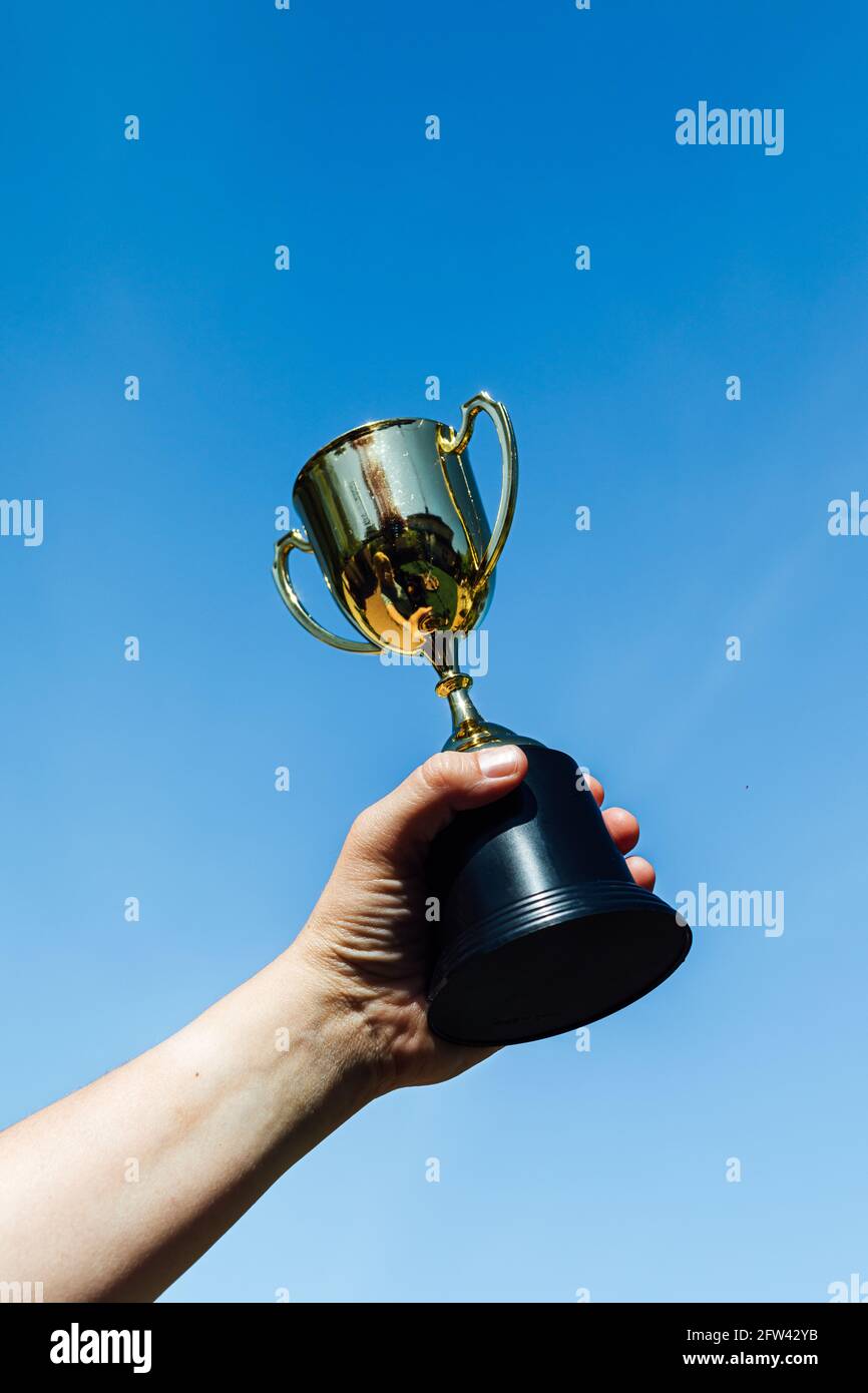 Hand raise a champion's glass, with the sky in the background. Victory ...