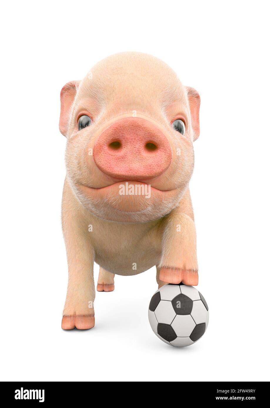 piglet cartoon with football ball, 3d illustration Stock Photo - Alamy