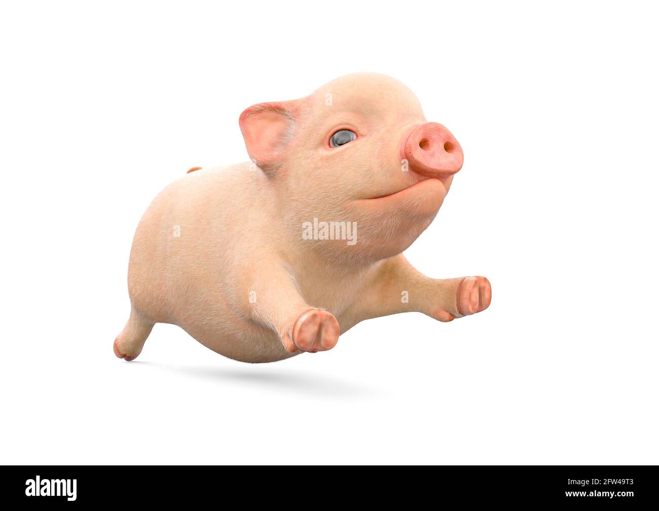 piglet cartoon is running, 3d illustration Stock Photo - Alamy