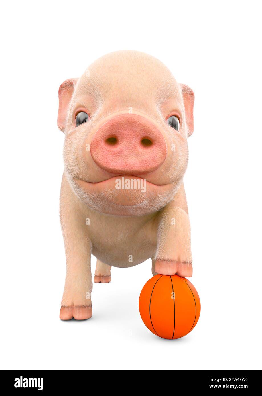 piglet , 3d illustration Stock Photo - Alamy