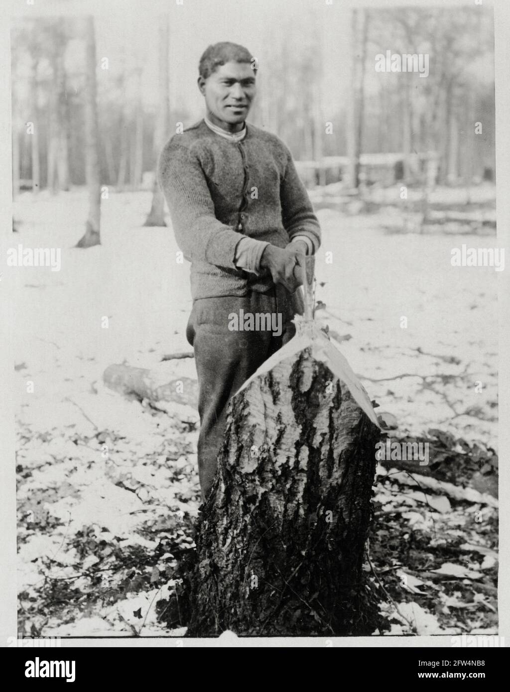 World War One, WWI, Western Front - A Maori soldier displays his cut ...