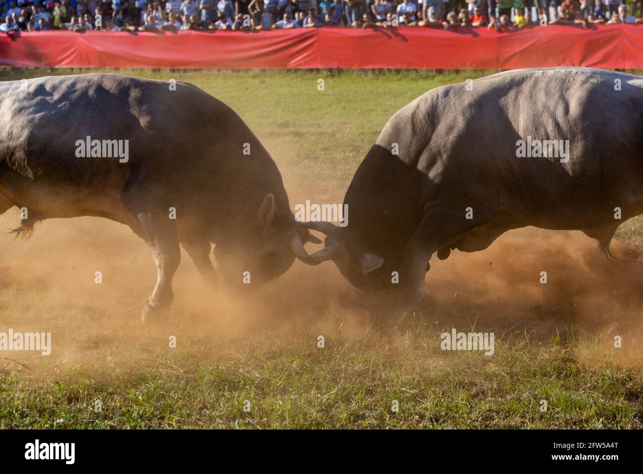 Etno village skopljanac hi-res stock photography and images - Alamy