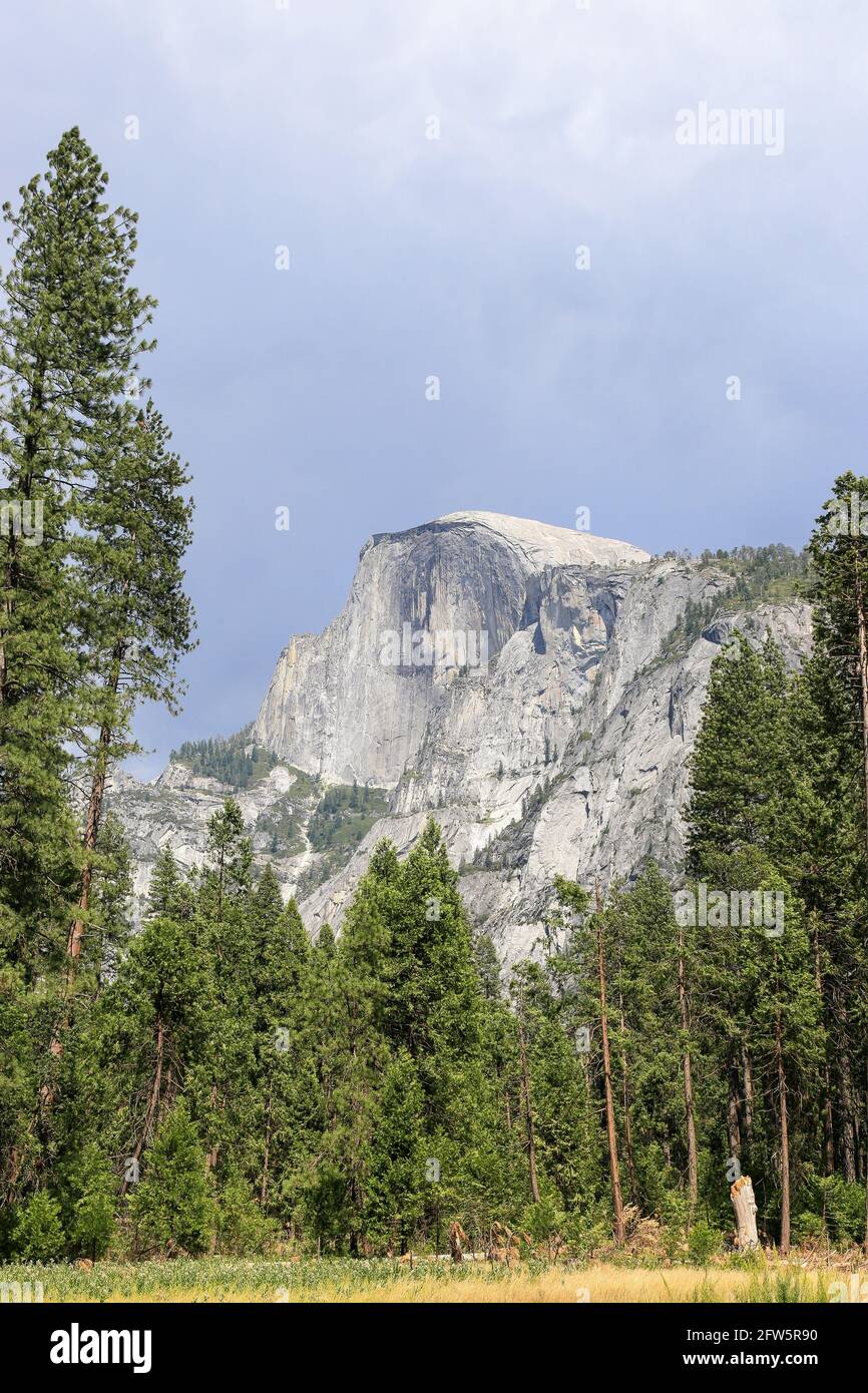 Half dome at Yosemite National Park, California USA Stock Photo - Alamy