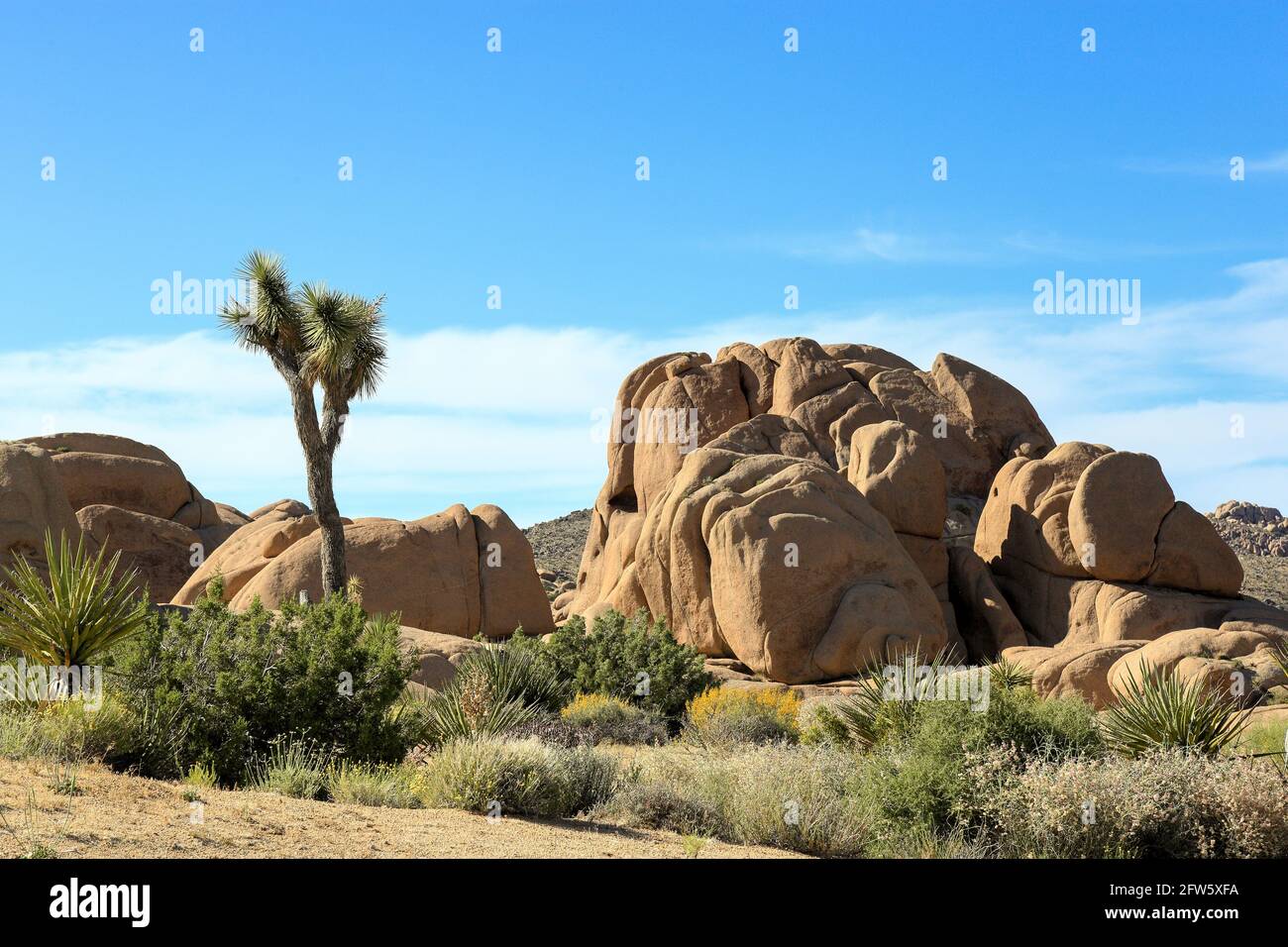 A huge mound of rocks at Joshua tree national park Stock Photo - Alamy
