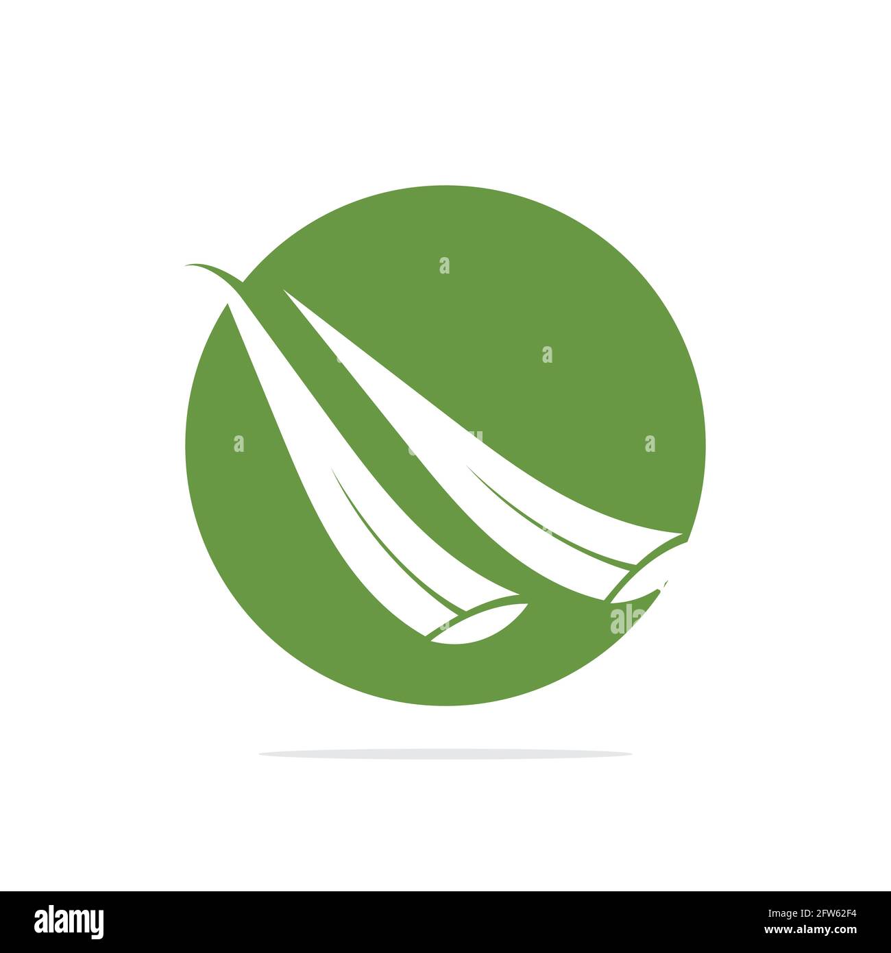 illustration of aloe vera logo design template Stock Vector Image & Art ...