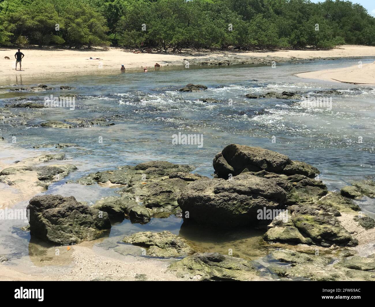 River winding its way to meet the Pacific Ocean at Tamarindo, Costa ...
