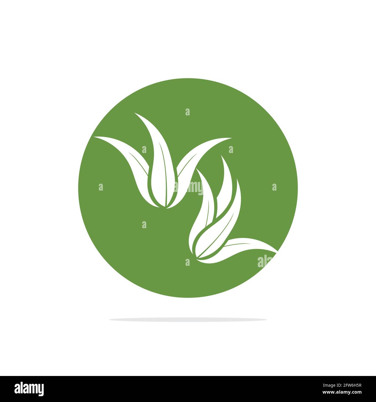 illustration of aloe vera logo design template Stock Vector Image & Art ...