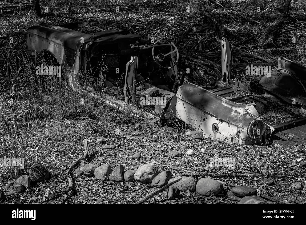 Rusted out dumped wreck of a car left to rot in the bush Stock Photo ...