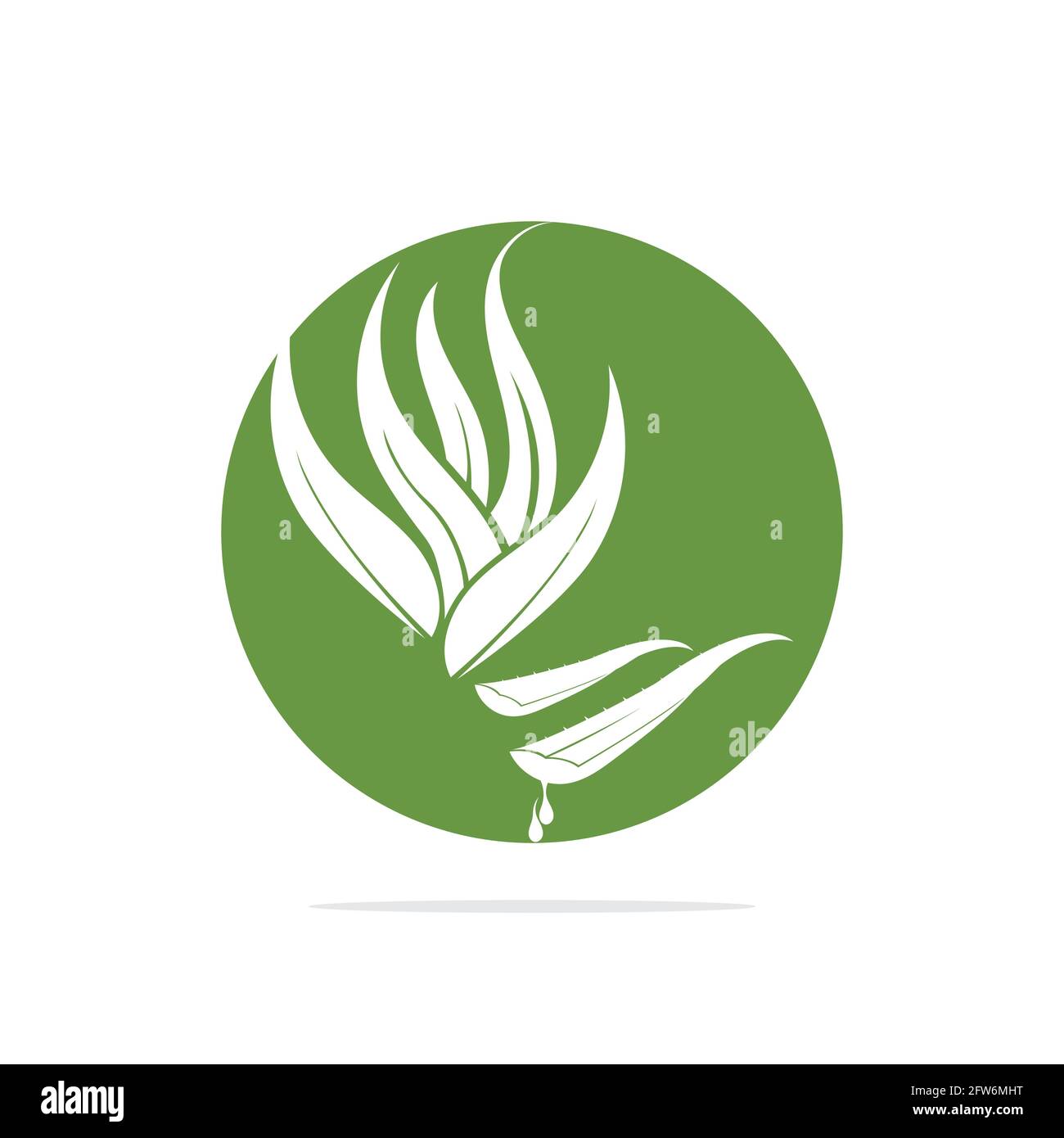 illustration of aloe vera logo design template Stock Vector Image & Art ...