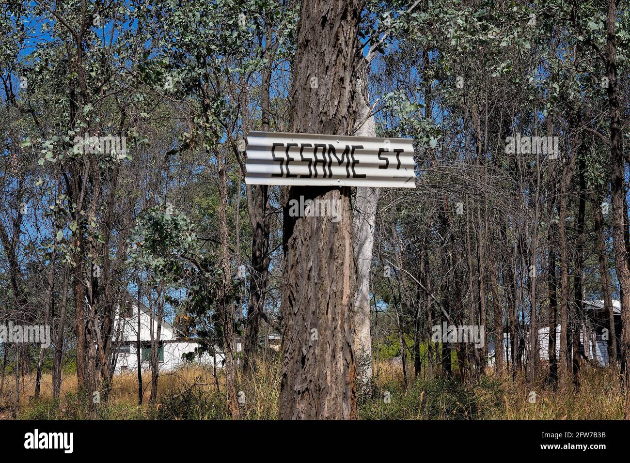 A fun sign on a tree with a made up street name, Sesame Street. Outback ...