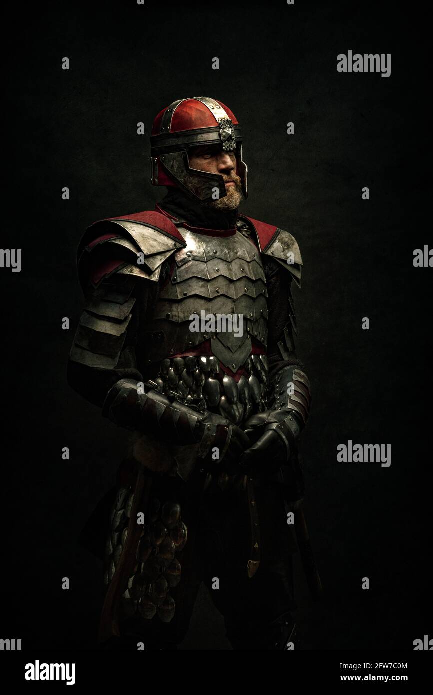 Portrait of a medieval fighter in profile Stock Photo - Alamy