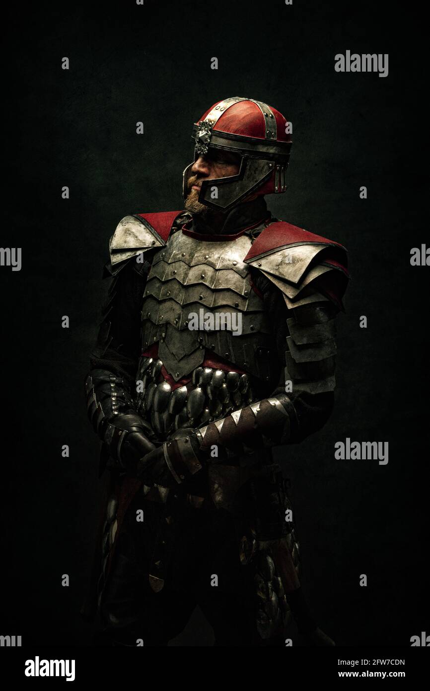 Portrait of a medieval fighter in profile Stock Photo - Alamy