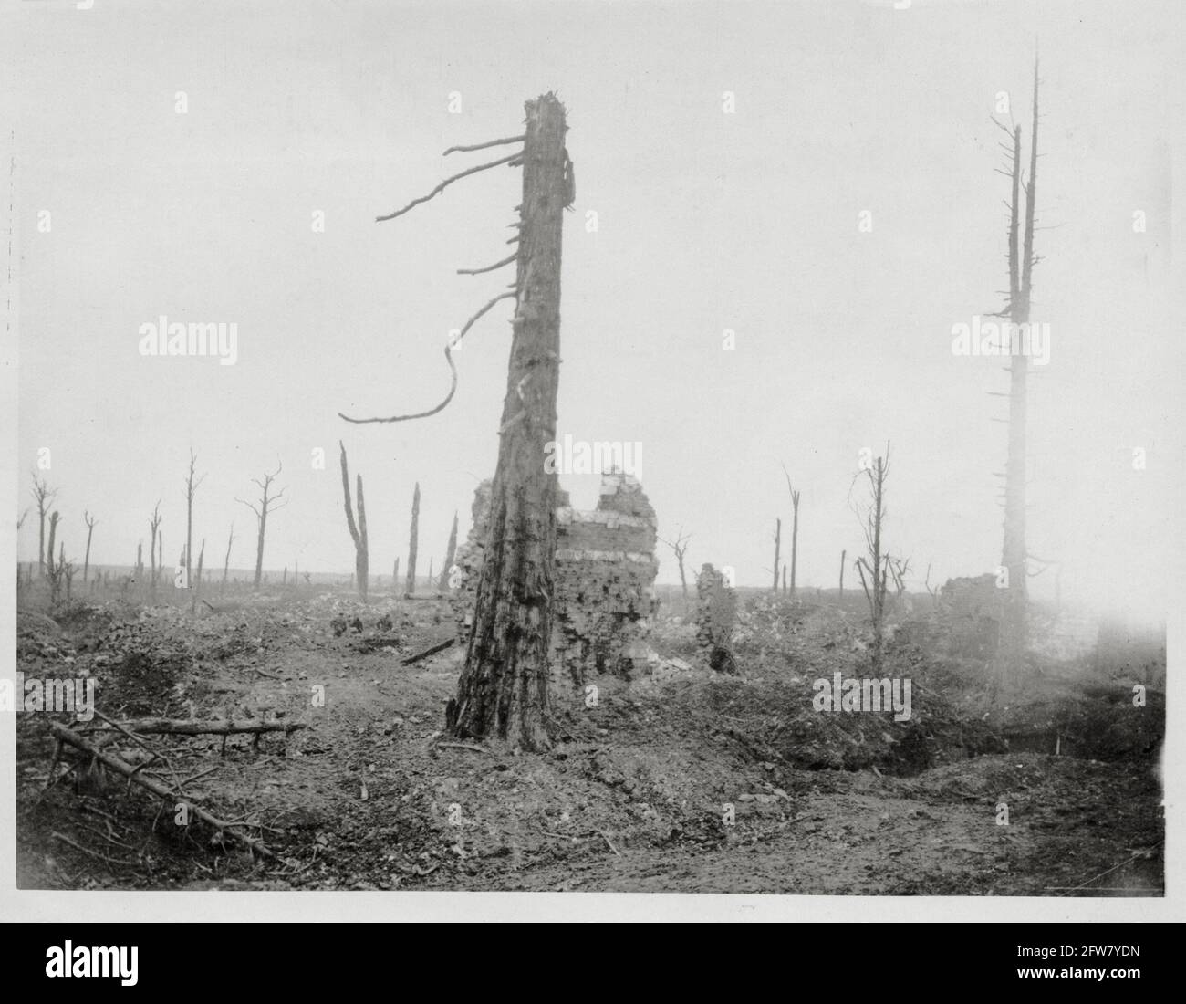 World War One, WWI, Western Front - Branchless trees and the ruins of a ...